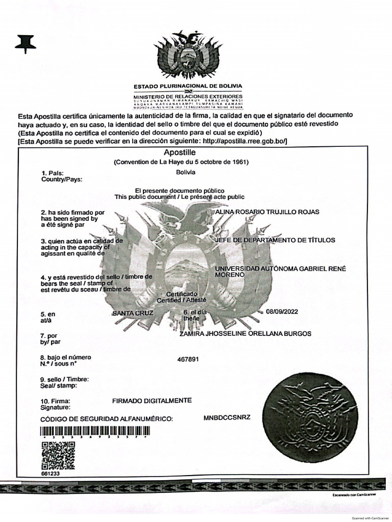 Plan de Estudios-1 | PDF