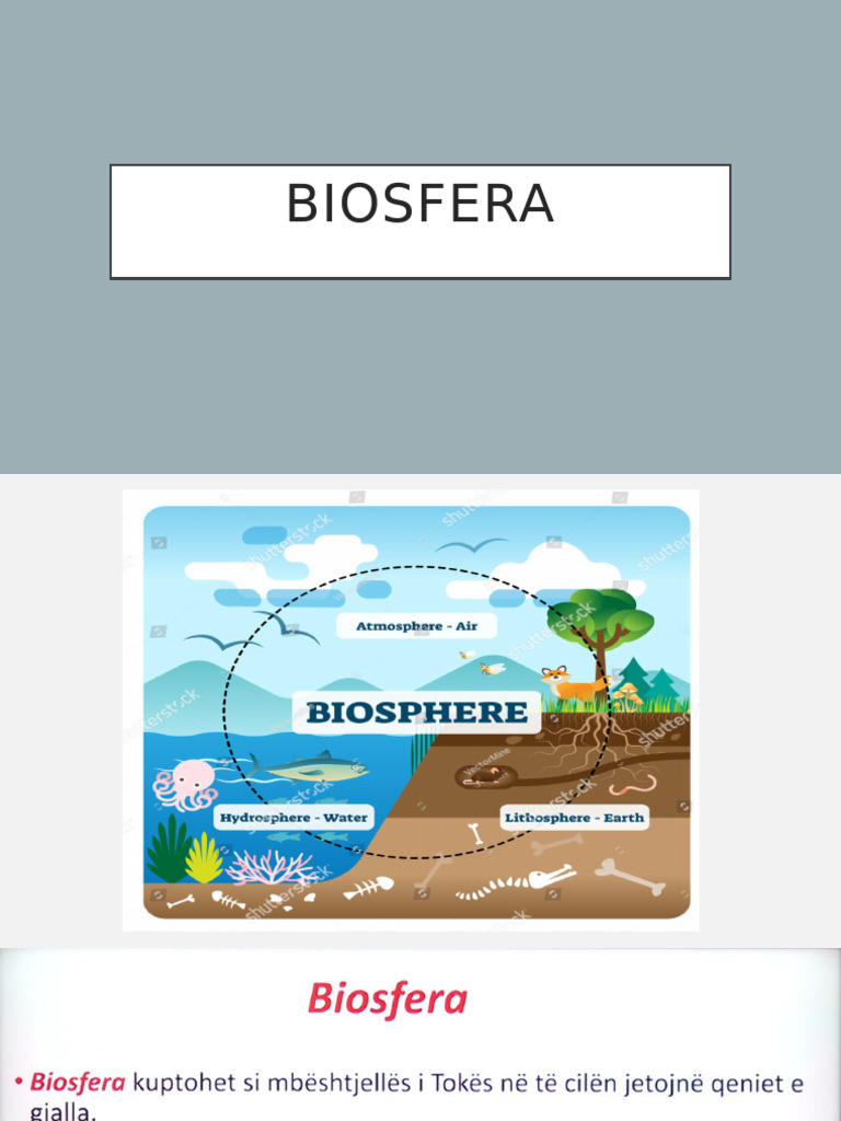 Biosfera 6 | PDF