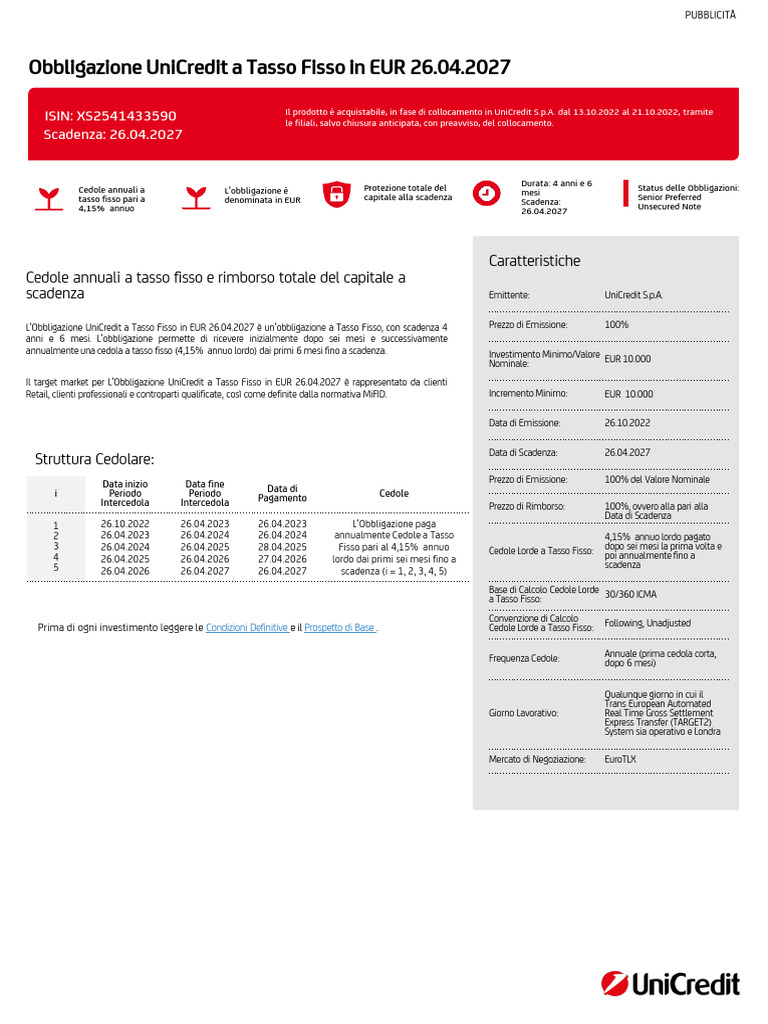 Flyer Instruction | PDF