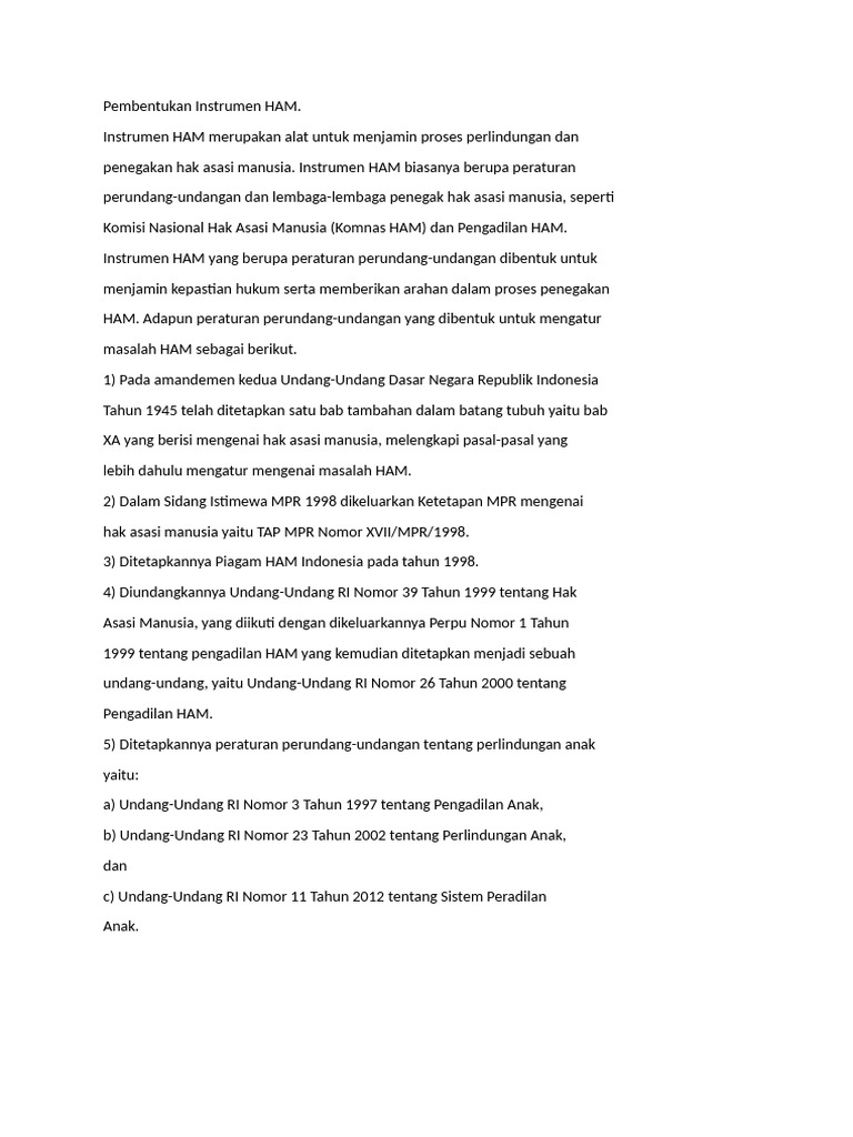 Pembentukan Instrumen HAM | PDF