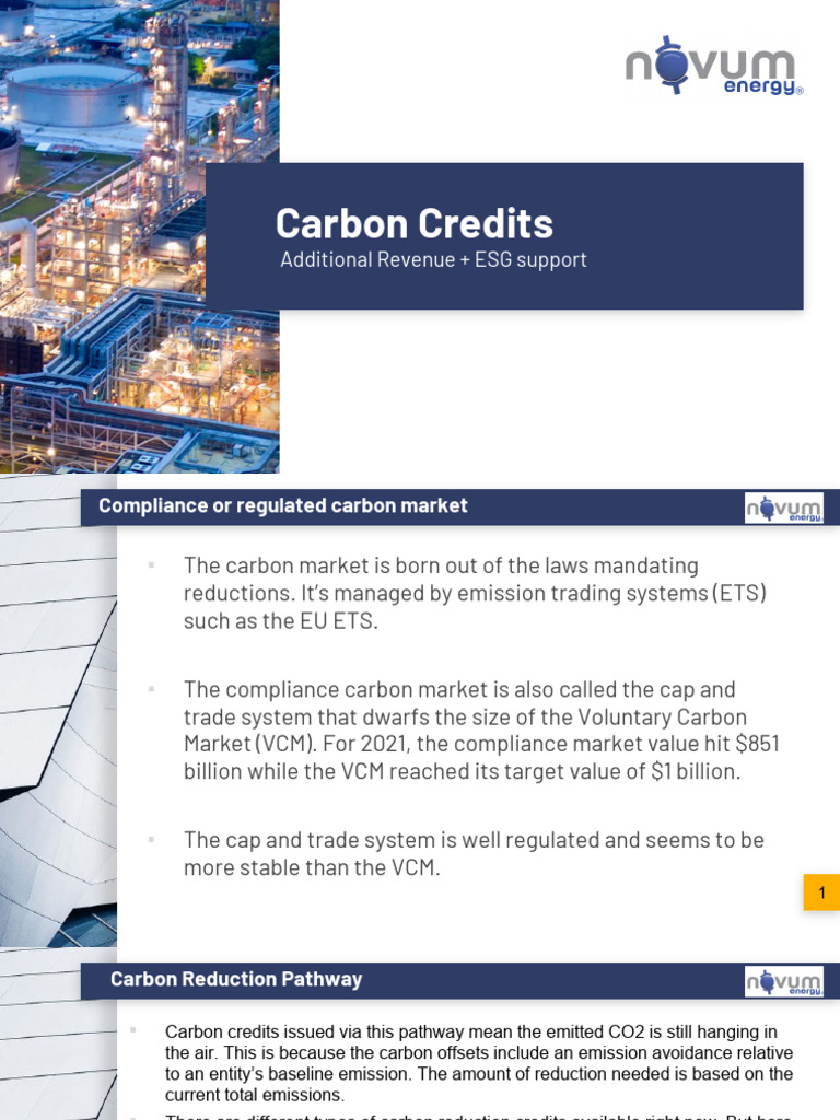 Carbon Credits | PDF
