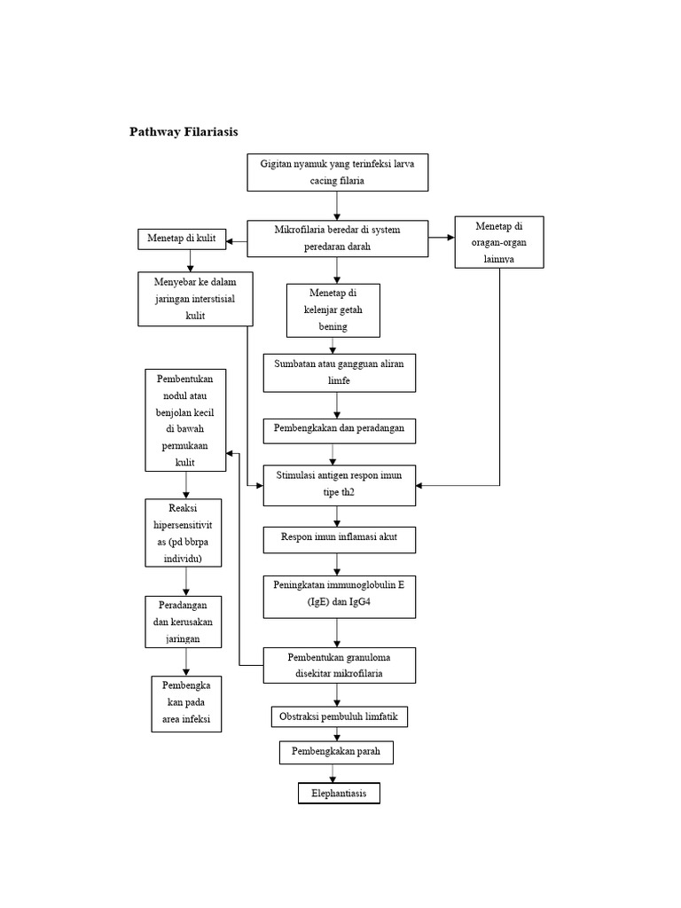 Pathway Filariasis | PDF