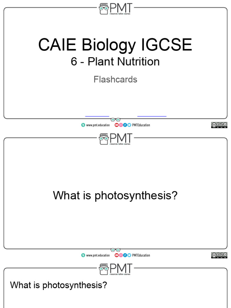Flashcards - Topic 6 Plant Nutrition - CAIE Biology IGCSE | PDF