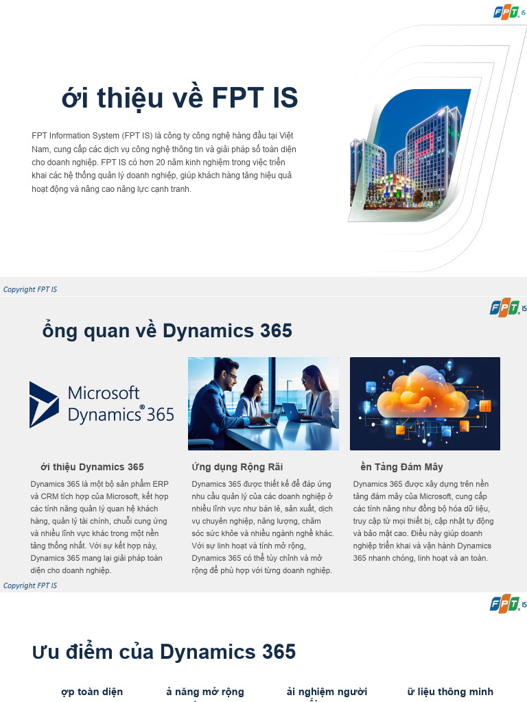 FPT Fis D365 | PDF