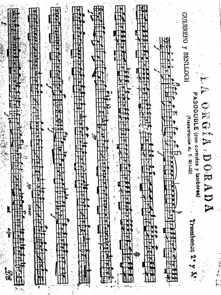 Tbon 2 3 | PDF