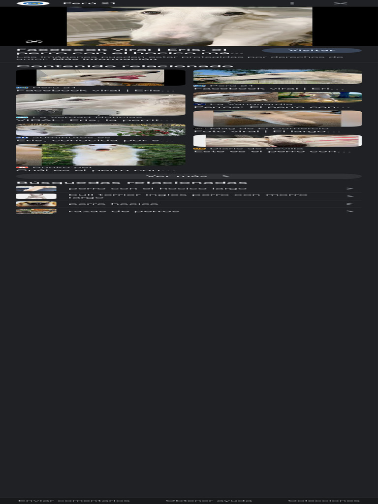 Perro Largo Meme - Buscar Con Google | PDF