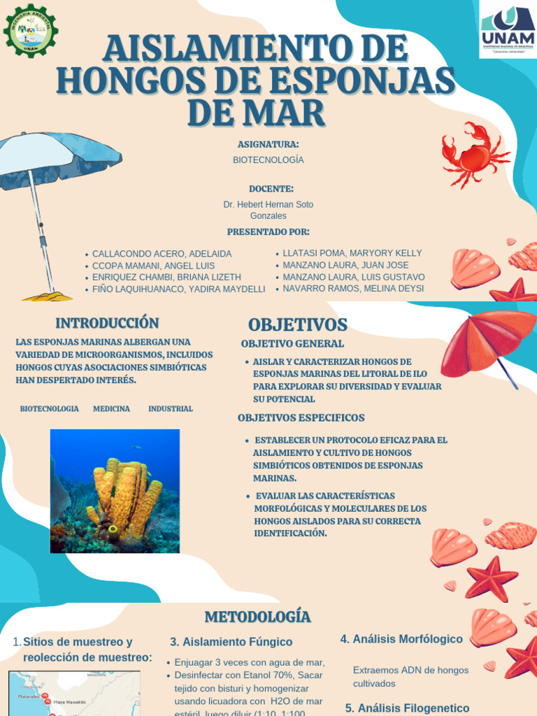 Aislamiento de Hongos de Esponjas de Mar | PDF | Hongo | Ciencia y ...