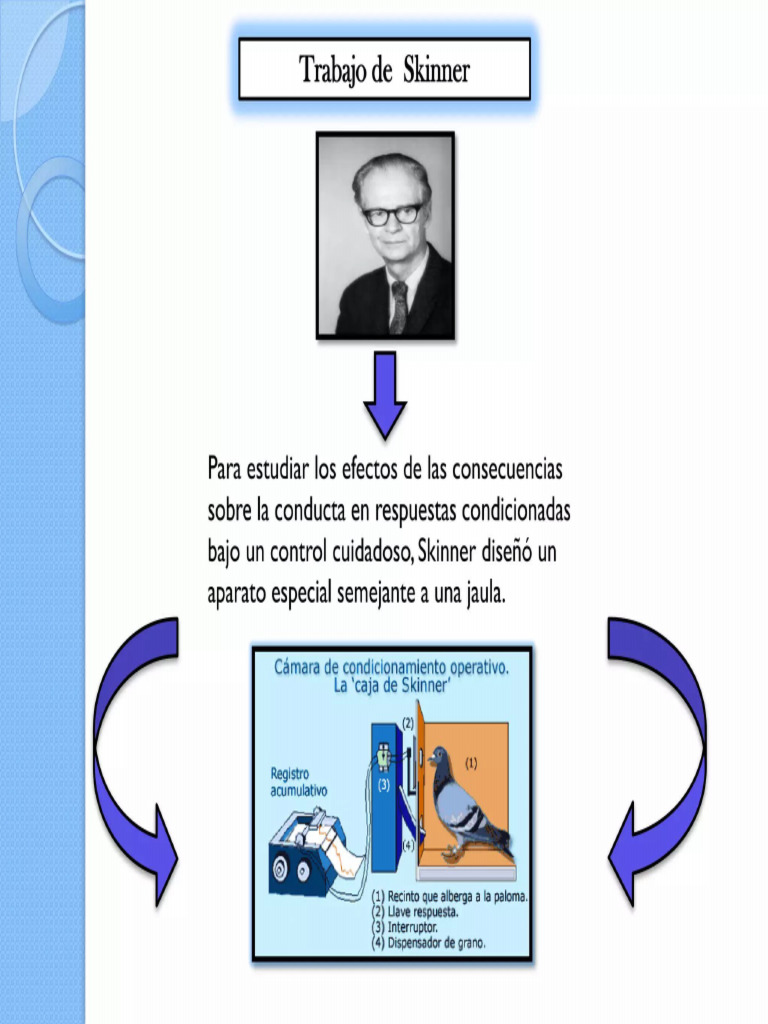 Kinner | PDF