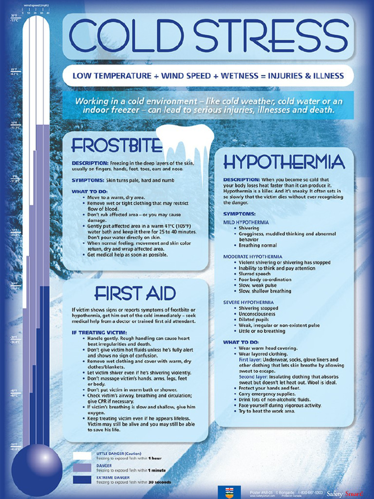 Winter Safety Posters | PDF