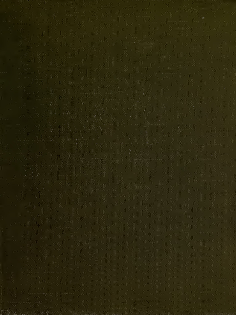 Principles of Stra 00 Nay L Rich | PDF