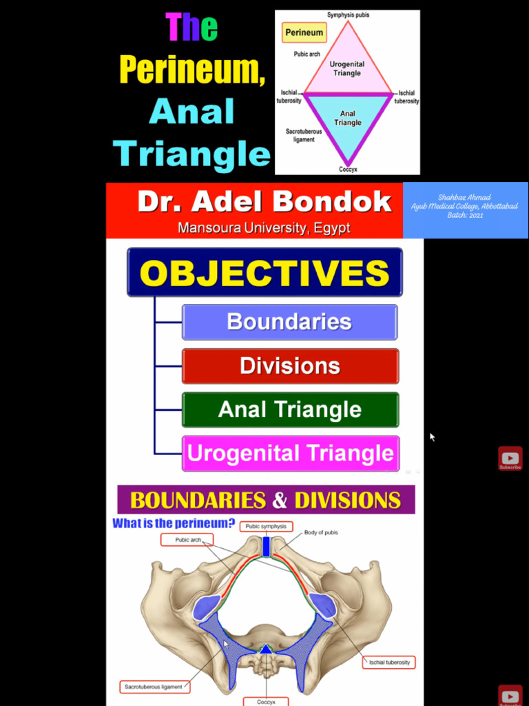 Anal Triangle | PDF