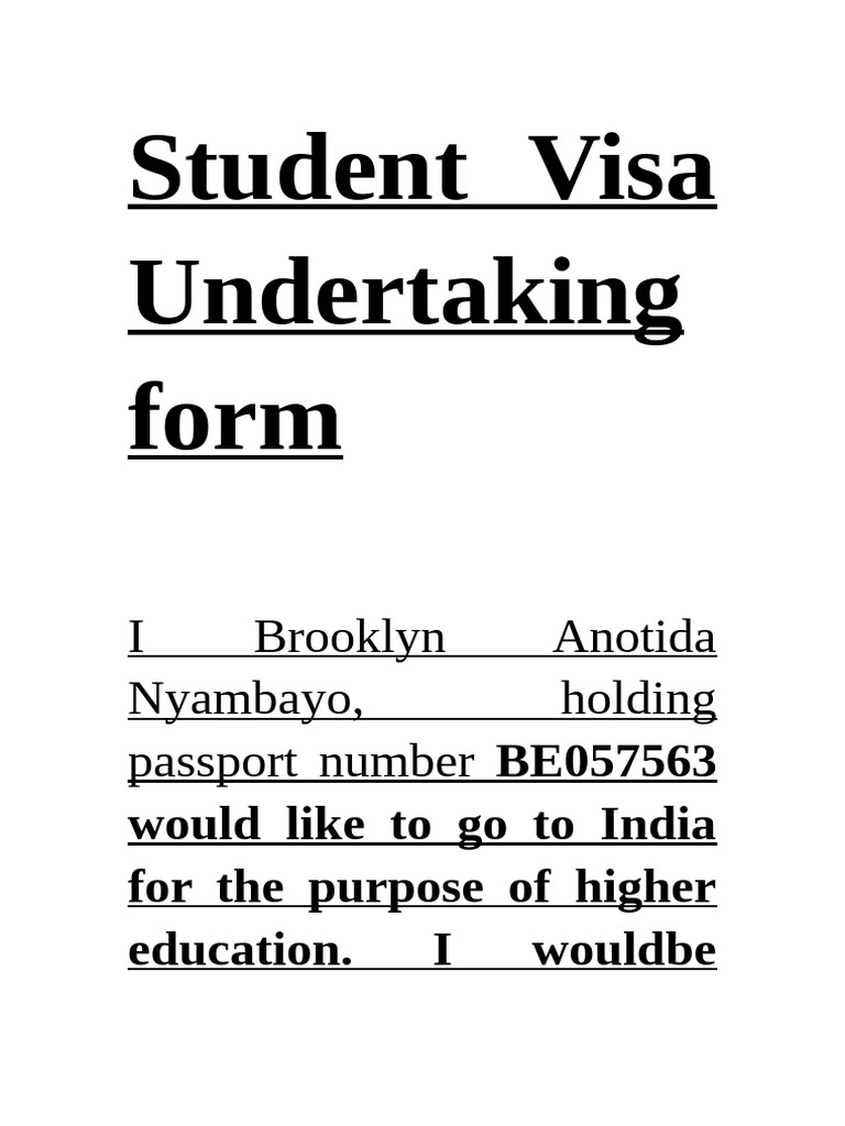 Visa | PDF