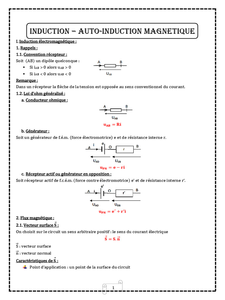 Induction Magn | PDF