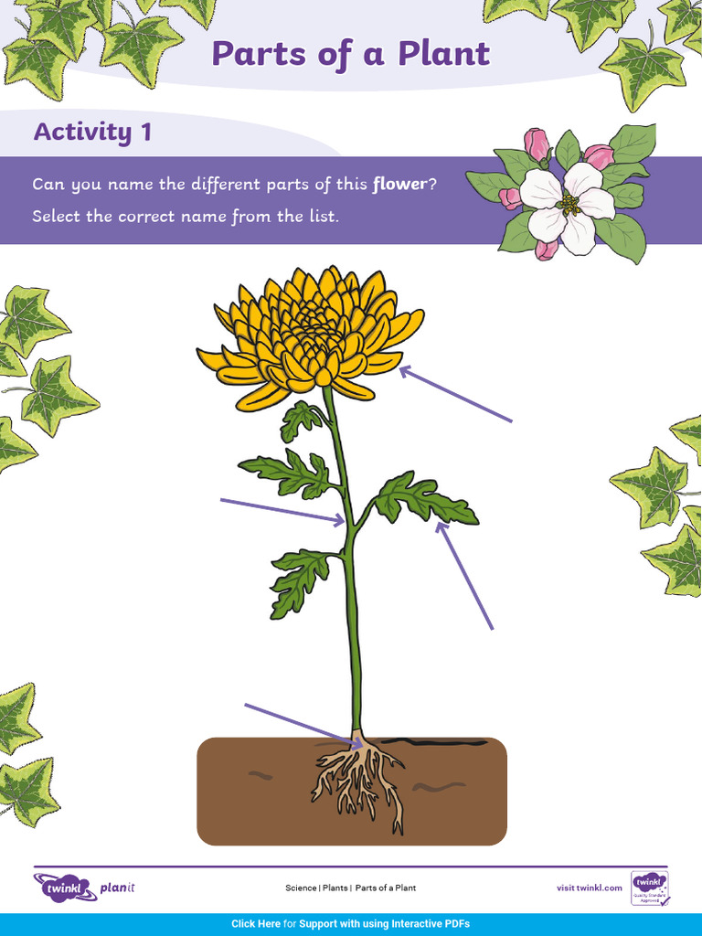 Science Work Sheets | PDF