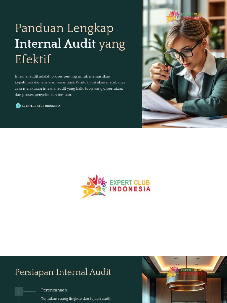 Internal Audit Overview - ECI | PDF