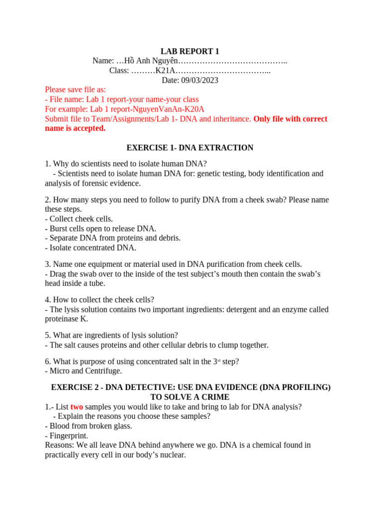 Lab 1 Report - HoAnhNguyen - K21A | PDF