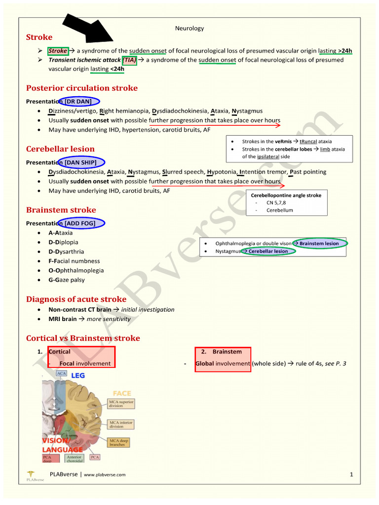 2 Neurology | PDF