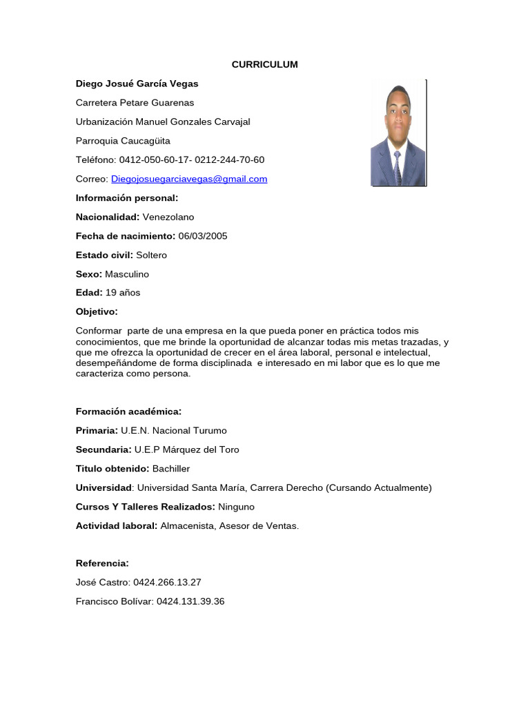 Curriculum Vitae Diego Josue | PDF