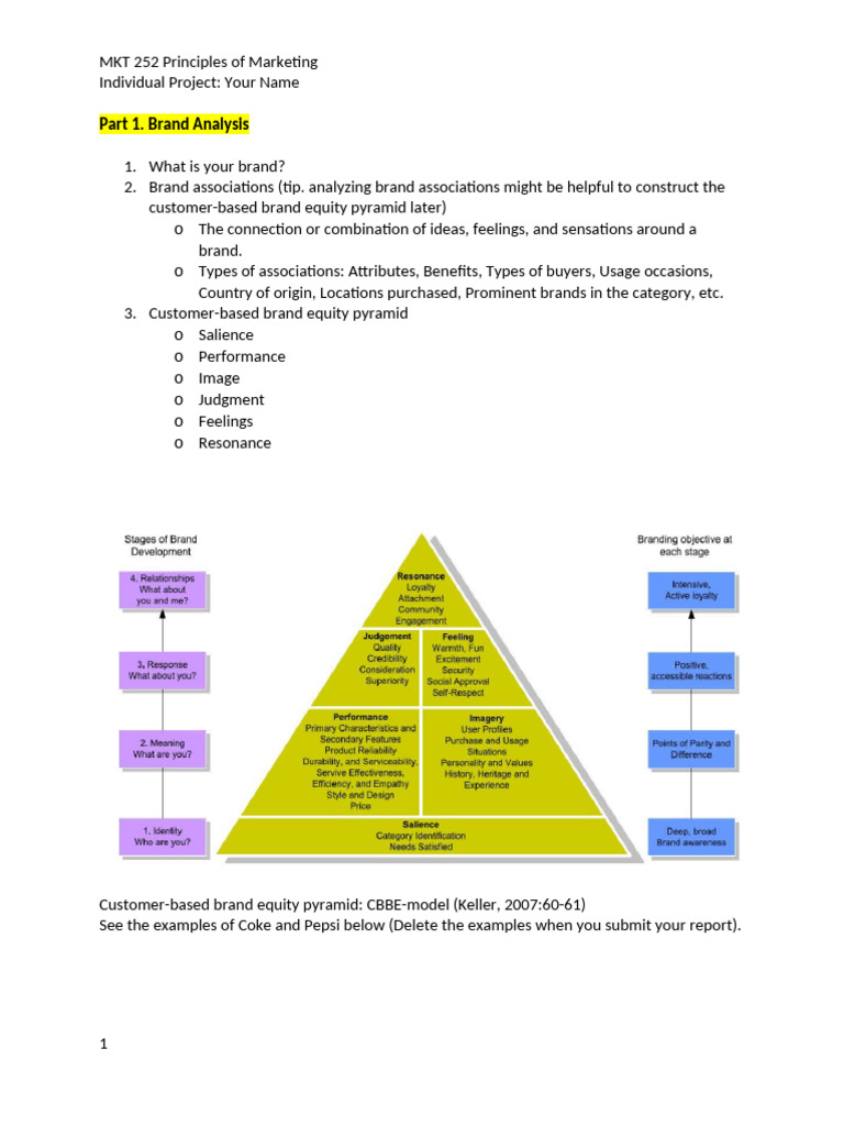 MKT 252 Individual Project Template | PDF