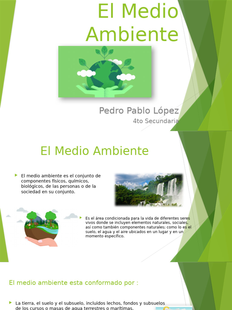 El Medio Ambiente | PDF