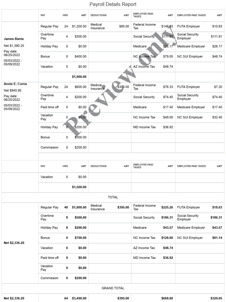 Case Study On Payroll Details Report (USA) | PDF