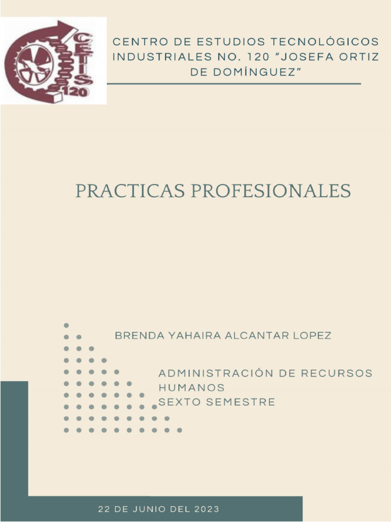 Informe Practicas Profesionales Pdf