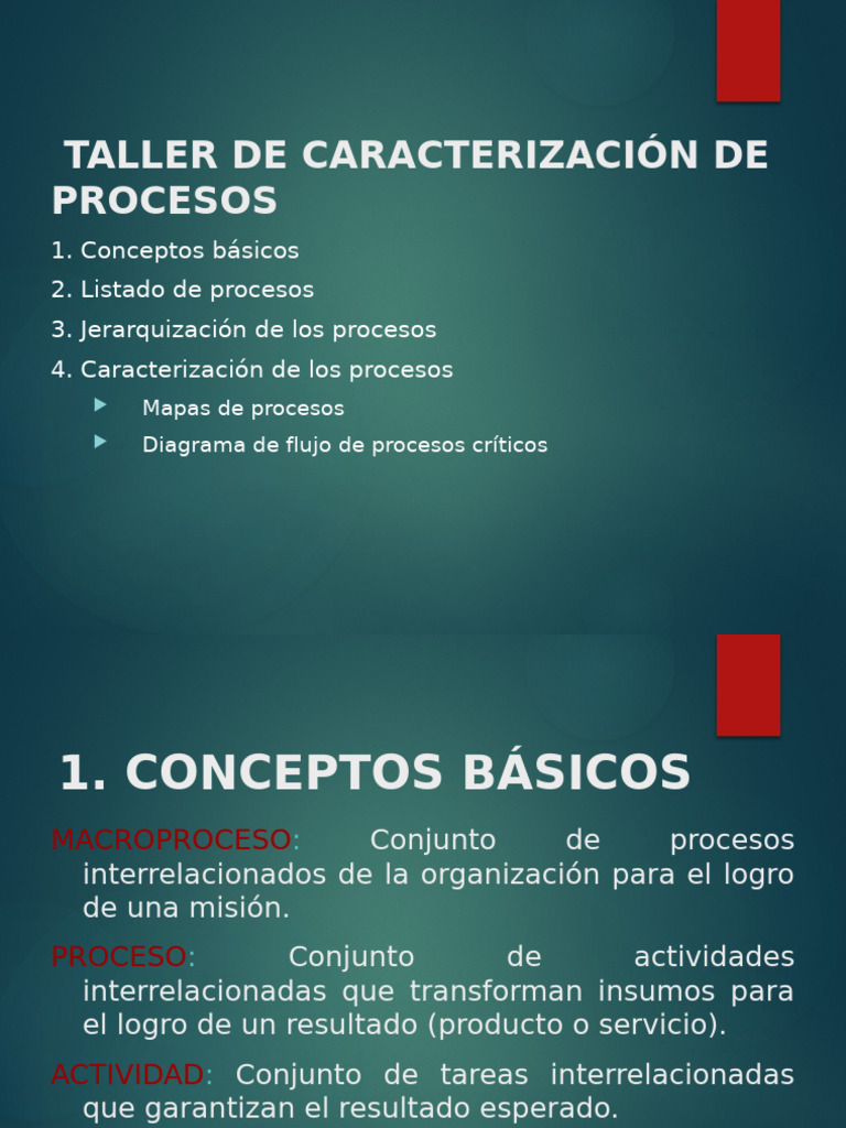1 Instructivo Caracterizacion Procesos TG | PDF | Business | Negocios