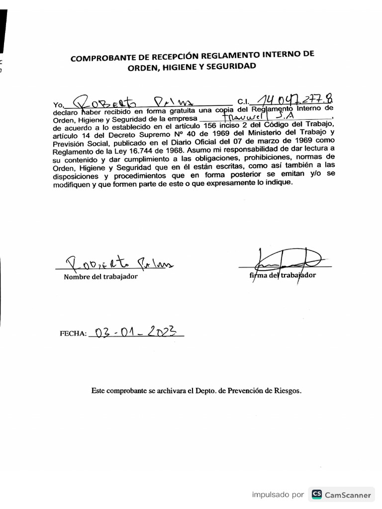 Documentos Roberto Palma - 4 | PDF