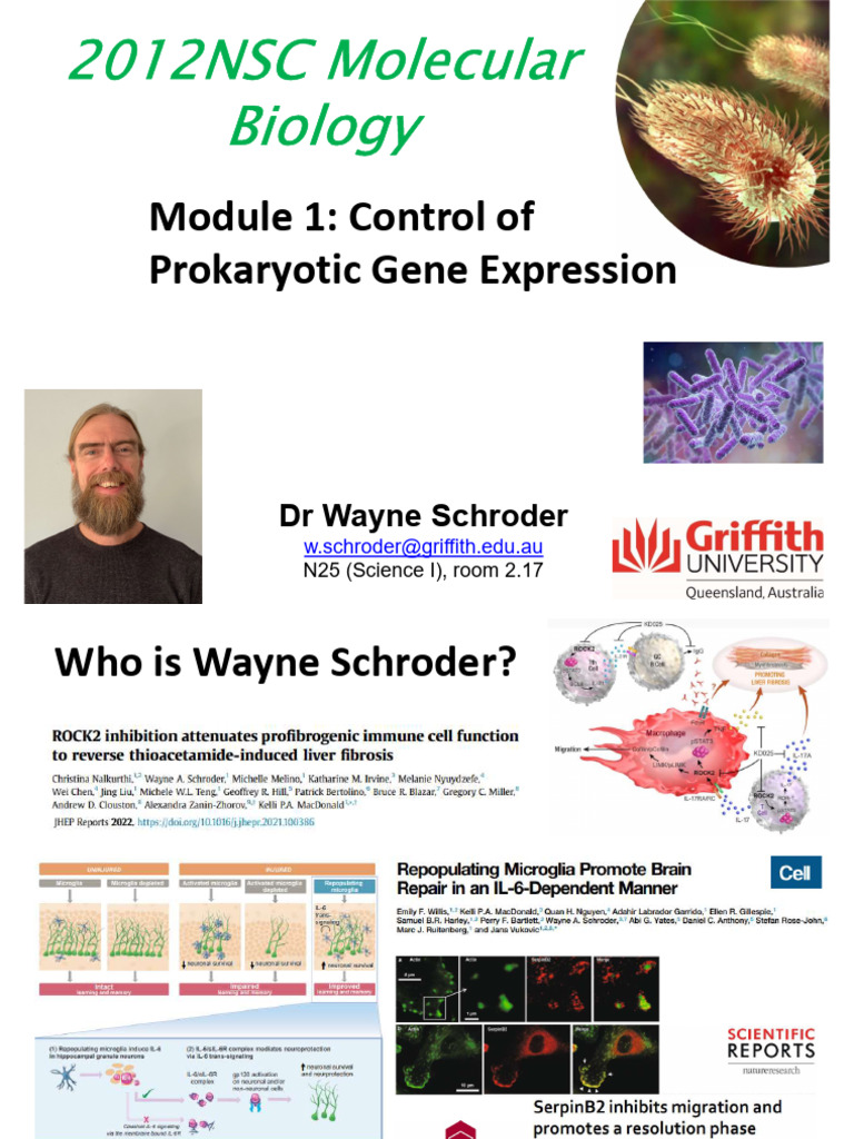 Module 1 Lecture 1 Pdf