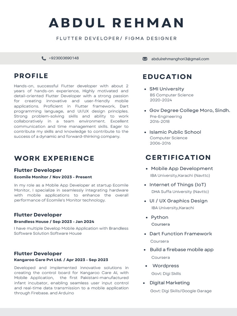CV Example | PDF