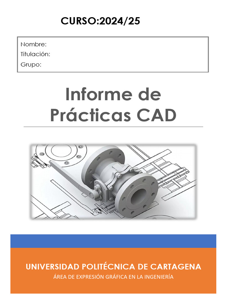 Informe Cad 2024 - 25 | PDF