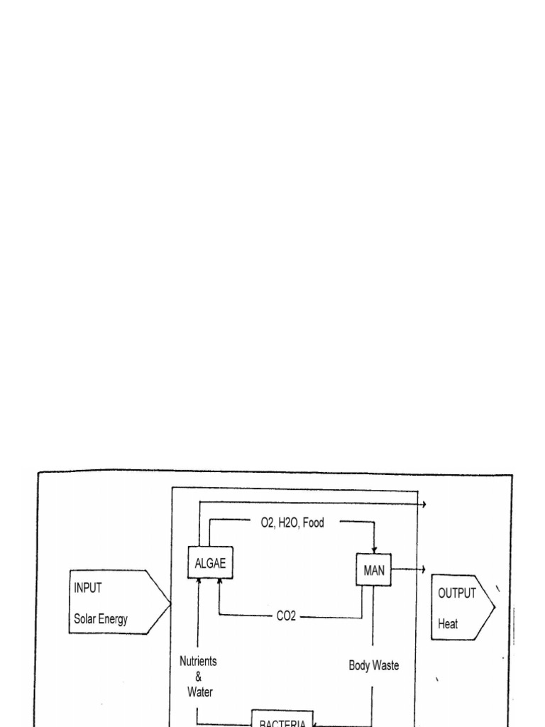 BIO 201 Diagrams | PDF