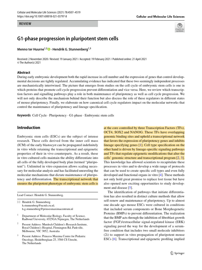 Phase Progression in Pluripotent Stem Cells | PDF