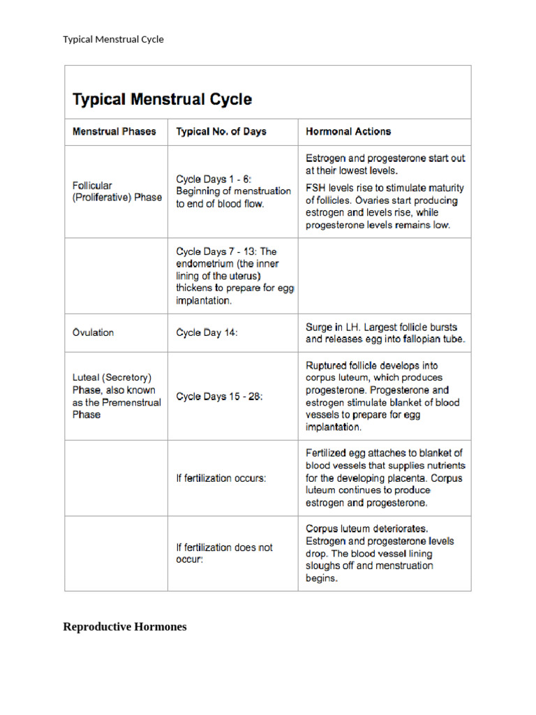 Menstual Cycle | PDF