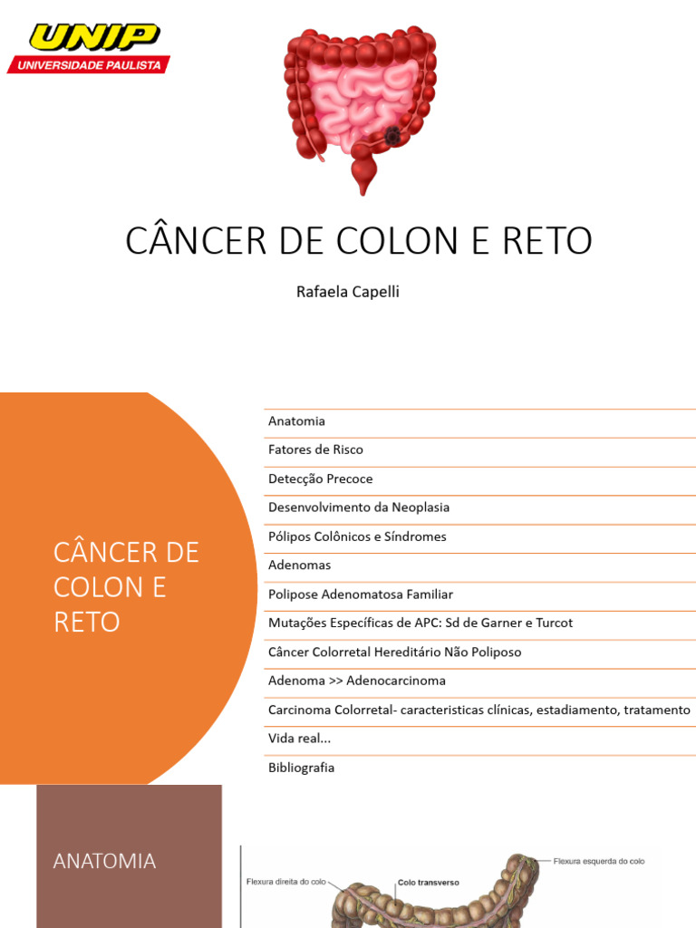 Cancer de Colon e Reto | PDF