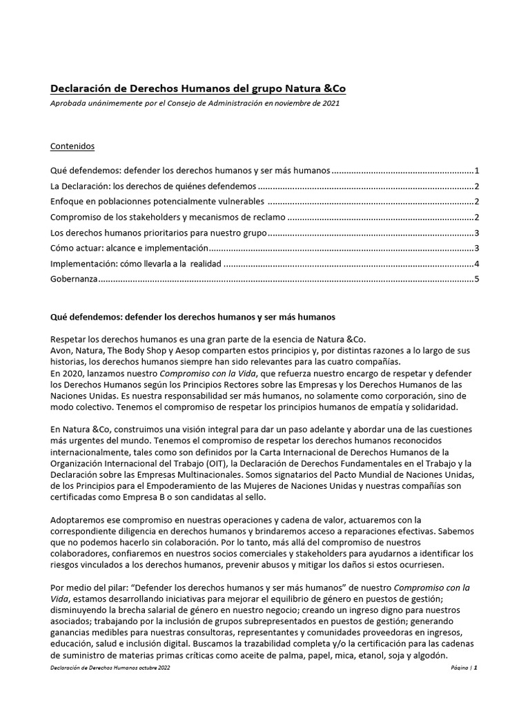 NCo Human Rights Statement - ESP - WIP | PDF