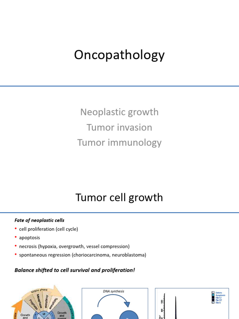 Oncopathology - Neoplastic Growth | PDF