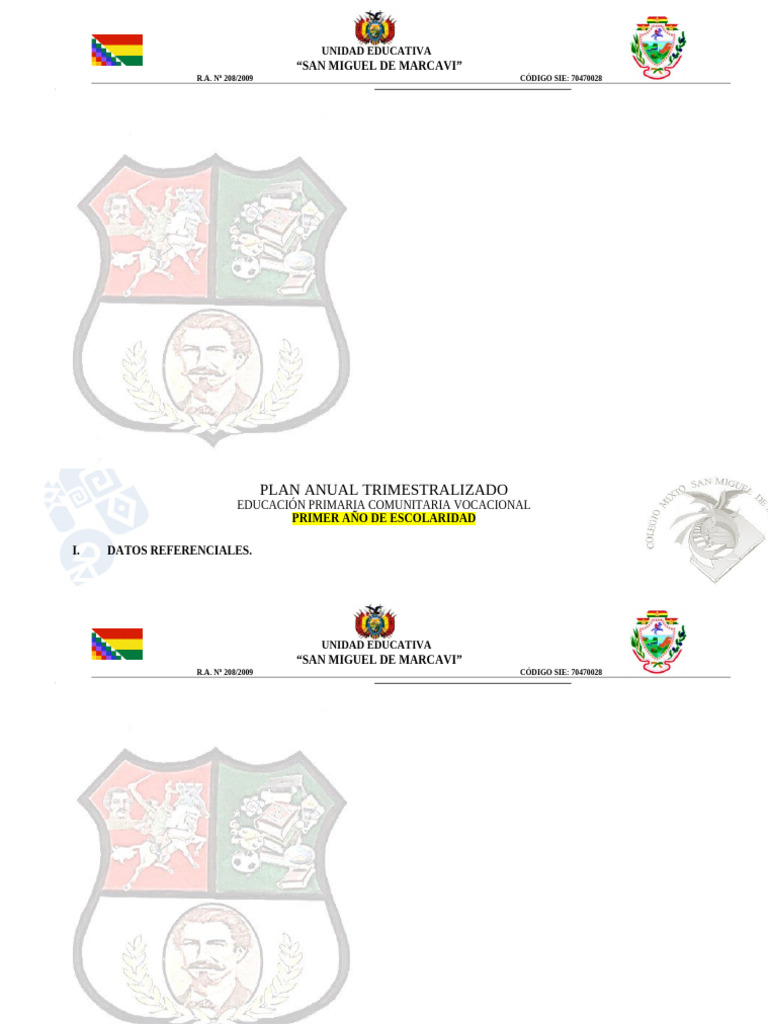 Pat - Formato de Primaria - 2024 | PDF