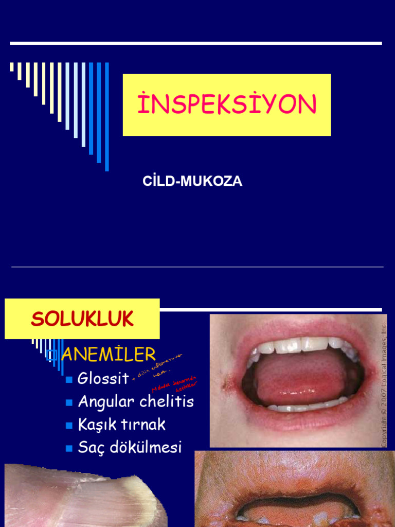 24-04-02 1Cilt-Mukoza FM | PDF