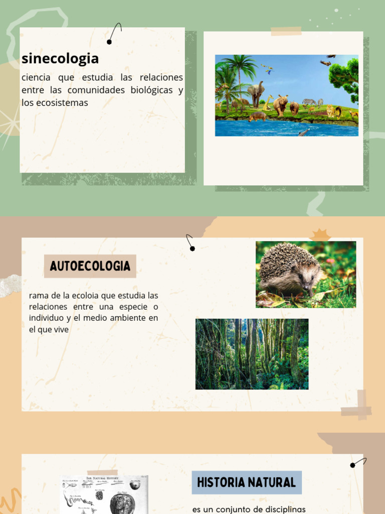 Pathogens and Communicable Diseases Education Presentation in Light ...