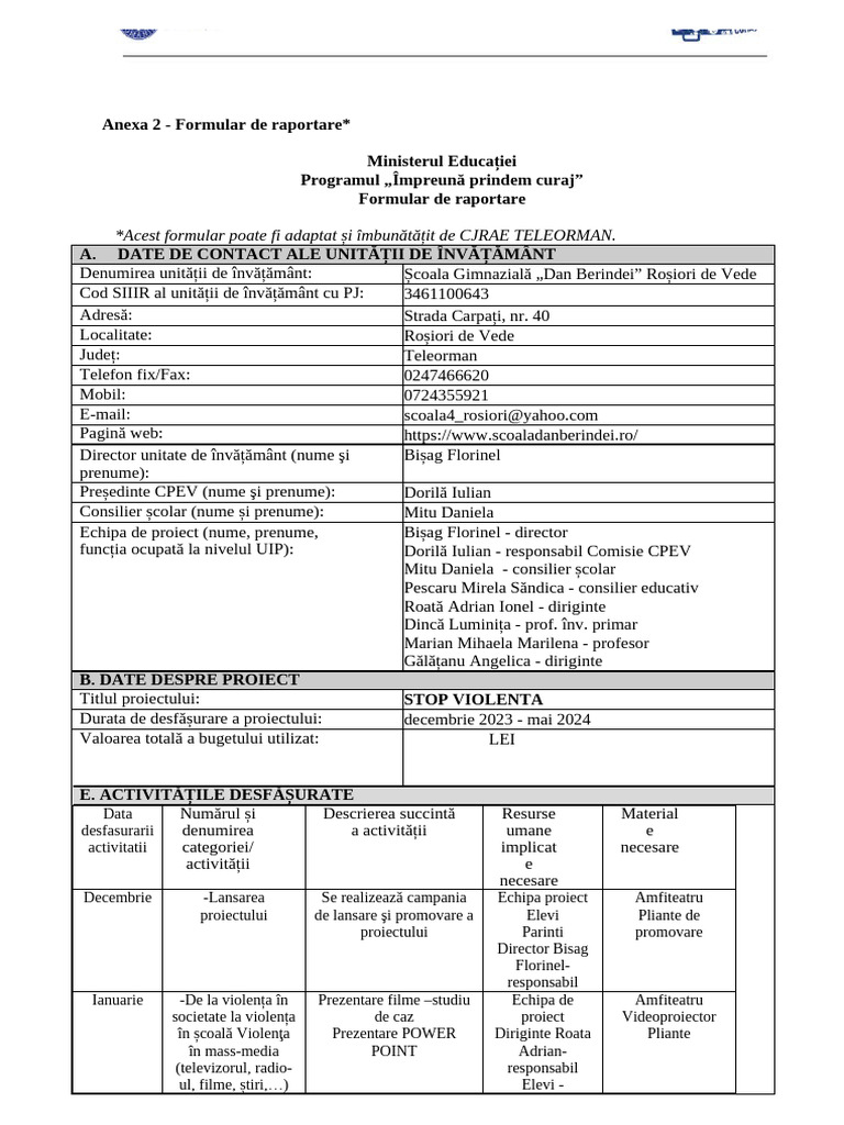 Anexa 2 Formular de Raportare Impreuna Prindem Curaj Teleorman | PDF