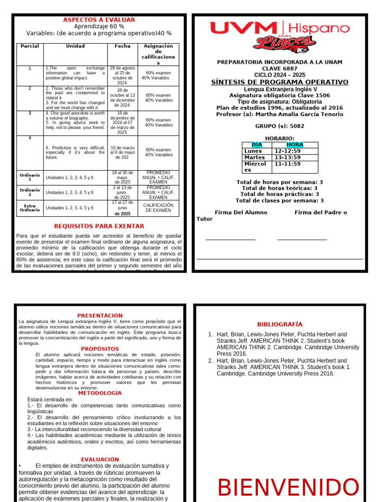 Formato Síntesis de Programa Vgpo 5022 | PDF