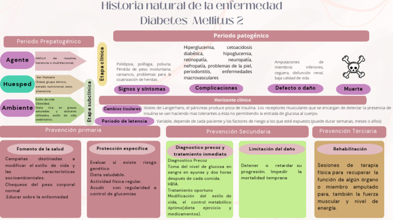 Historia natural de la Diabetes Mellitus 2 | PDF | Diabetes | Medicina ...