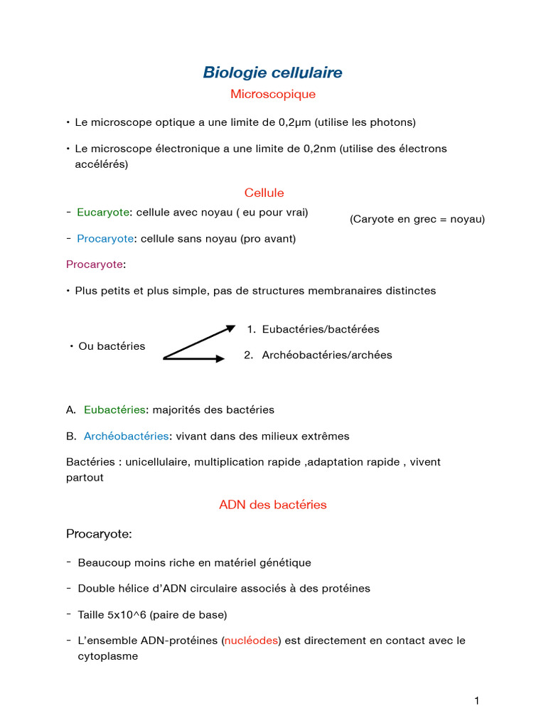 Biologie Cellulaire Rayane - Ben | PDF