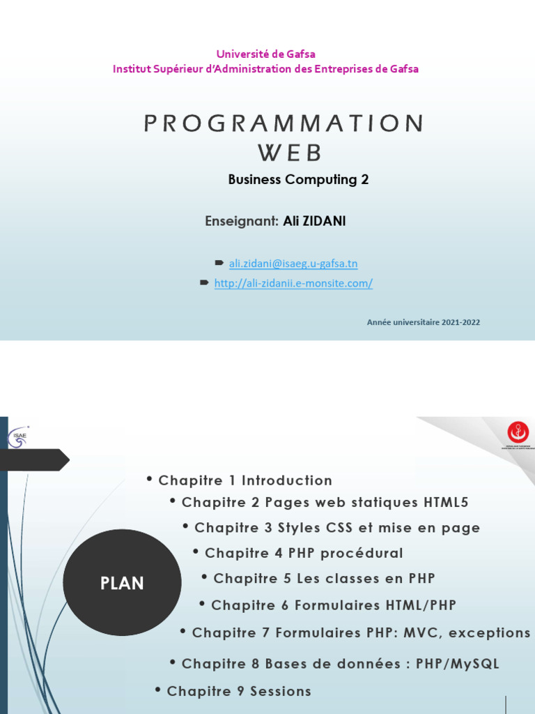 Cours Programmaation Web | PDF