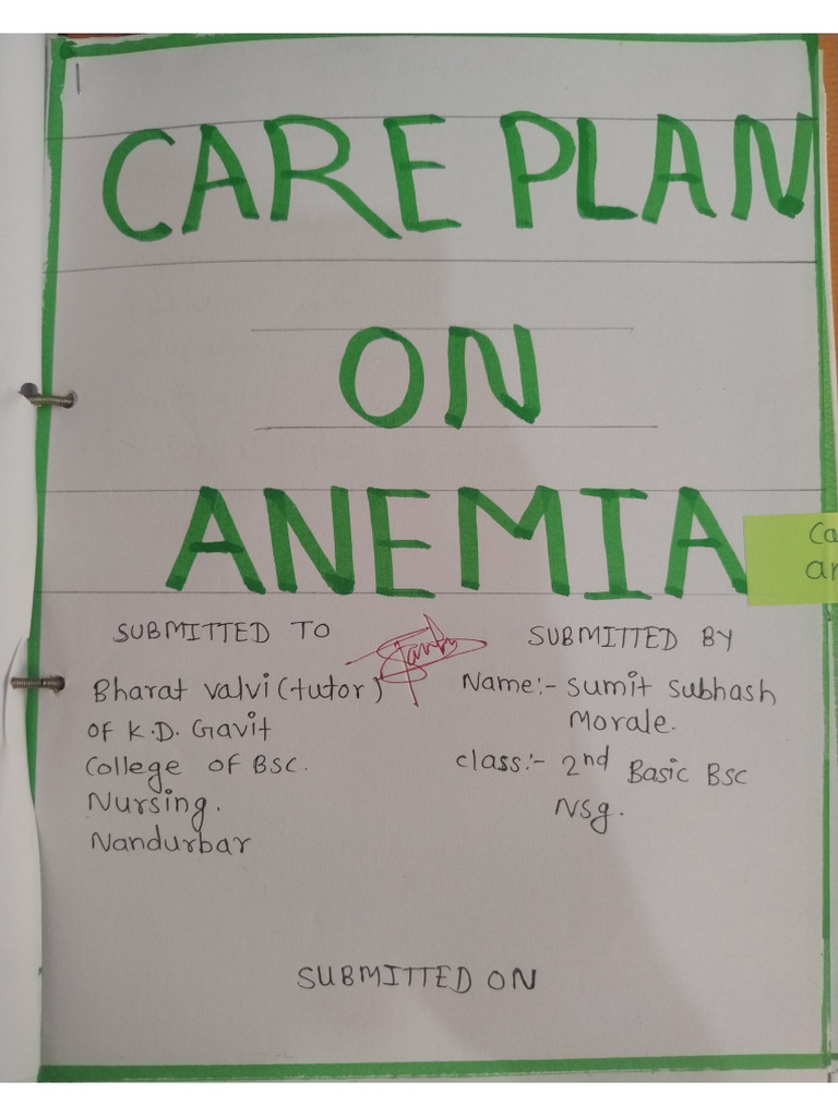 Anemia Care Plan | PDF