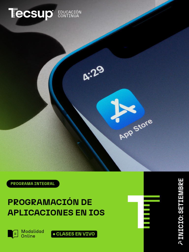 Brochure - Pun - Programación de Aplicaciones en Ios | PDF