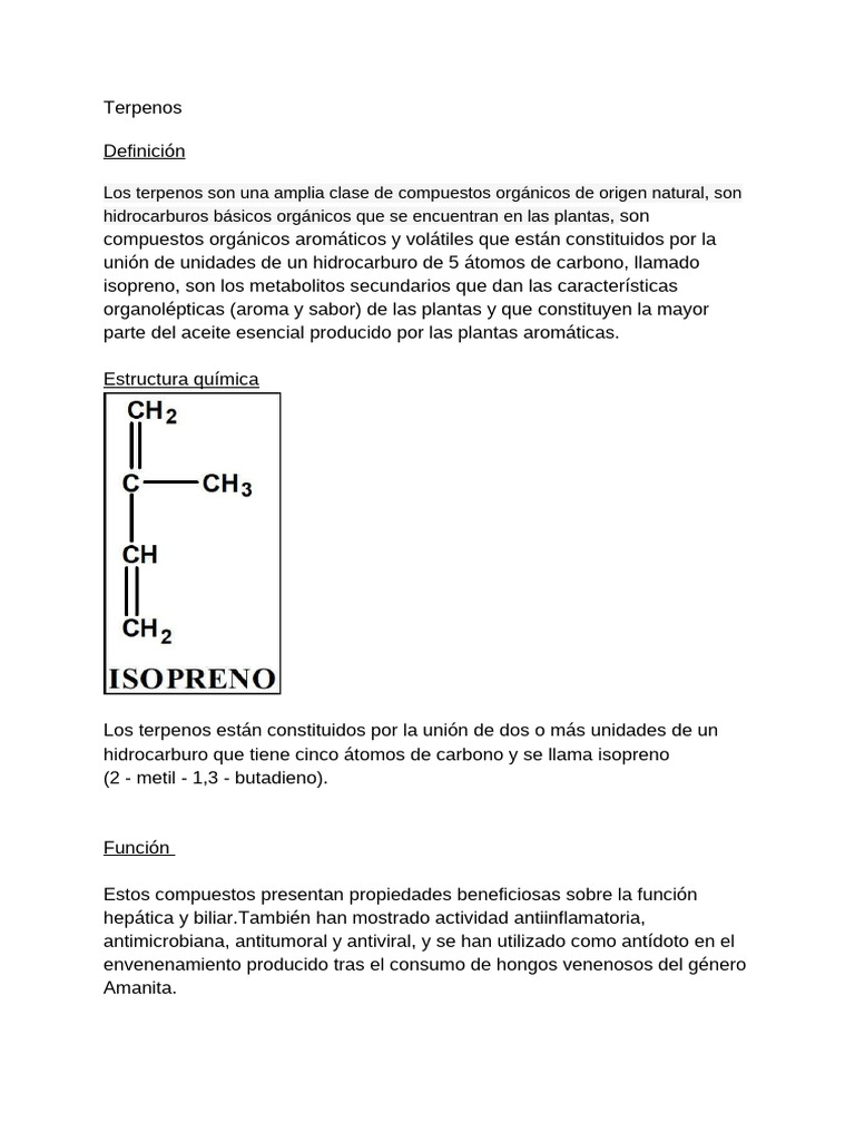 Terpenos 1 Pdf