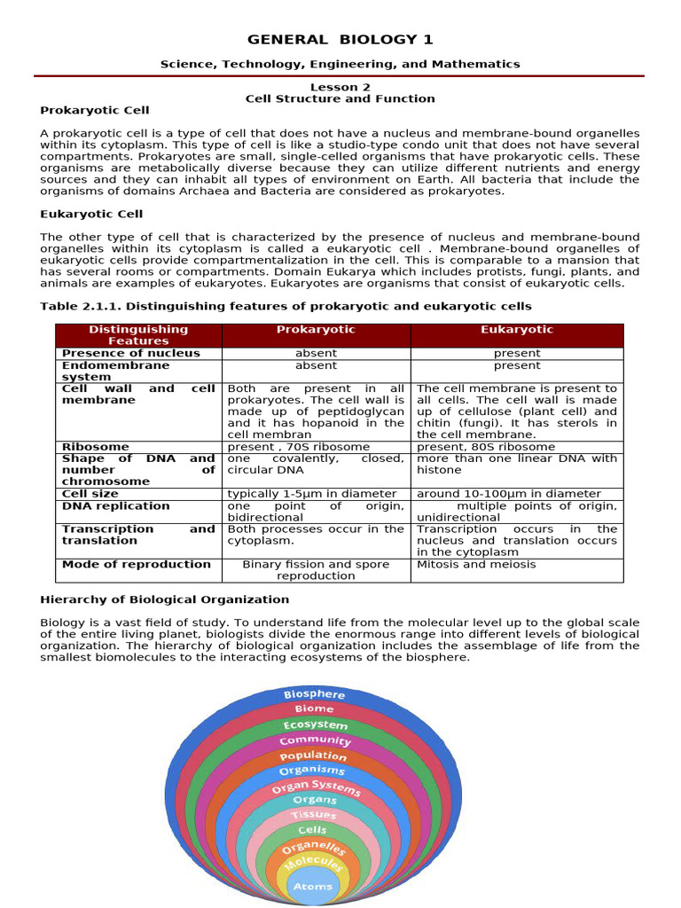 Reviewer Lesson 2 Summative | PDF