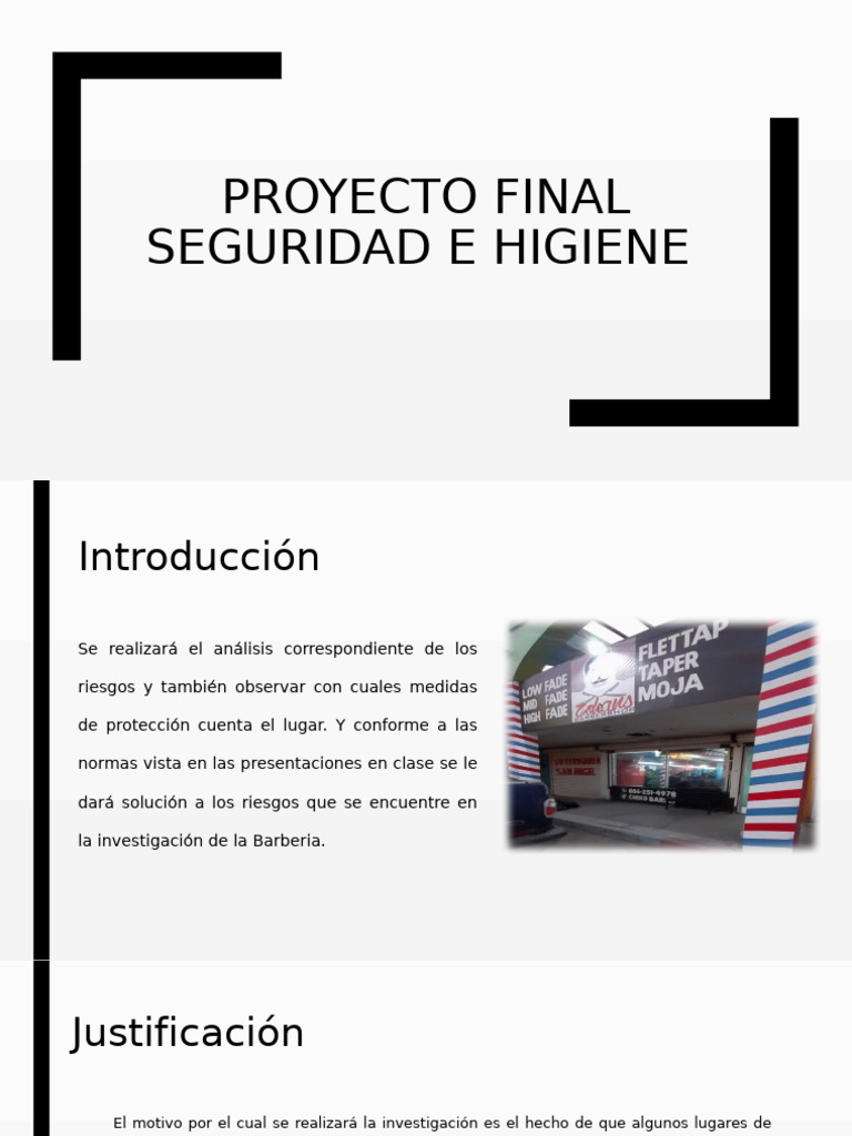 Proyecto Final Seguridad e Higiene | PDF